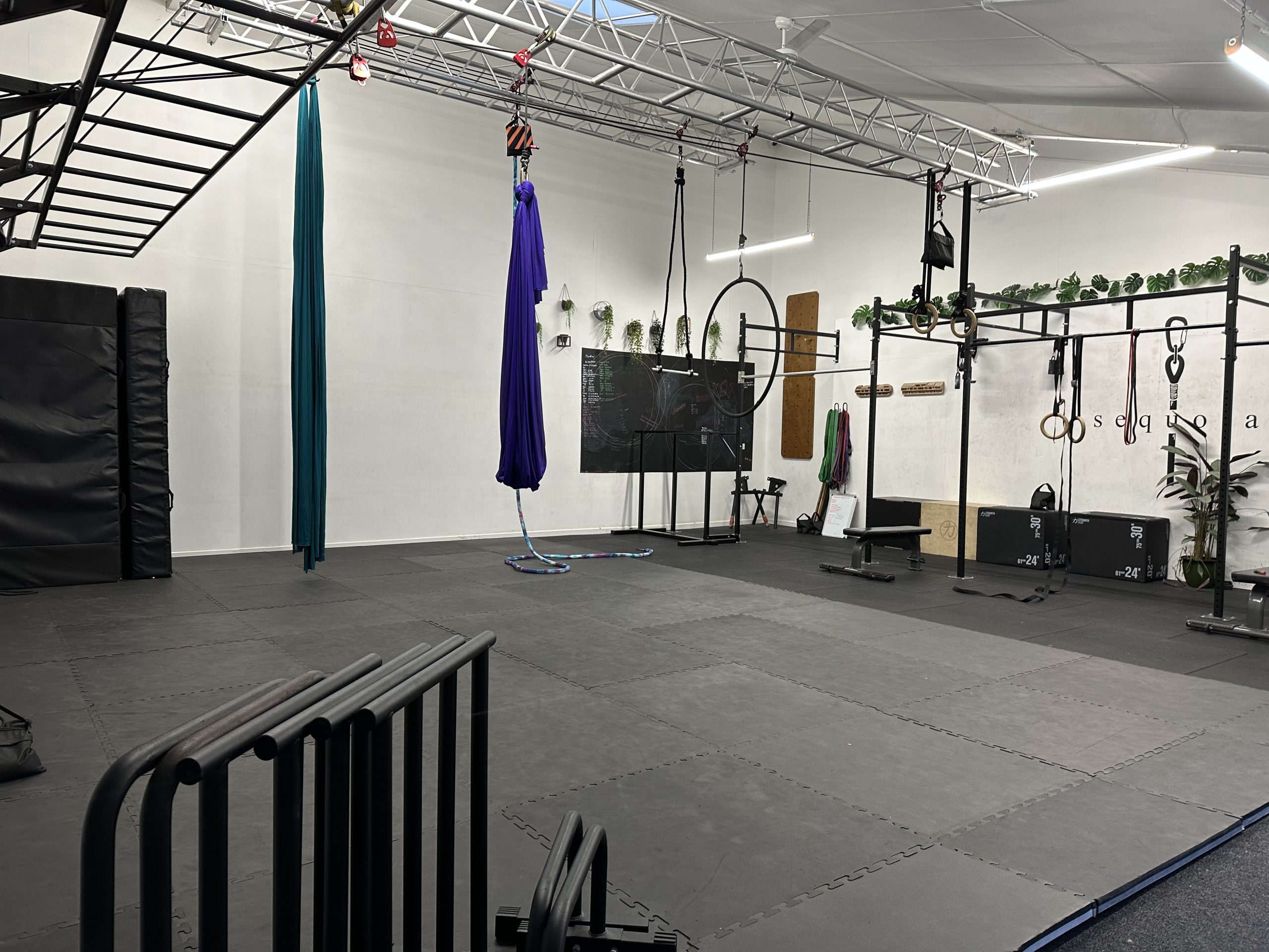 Training Space – Sequoia Movement