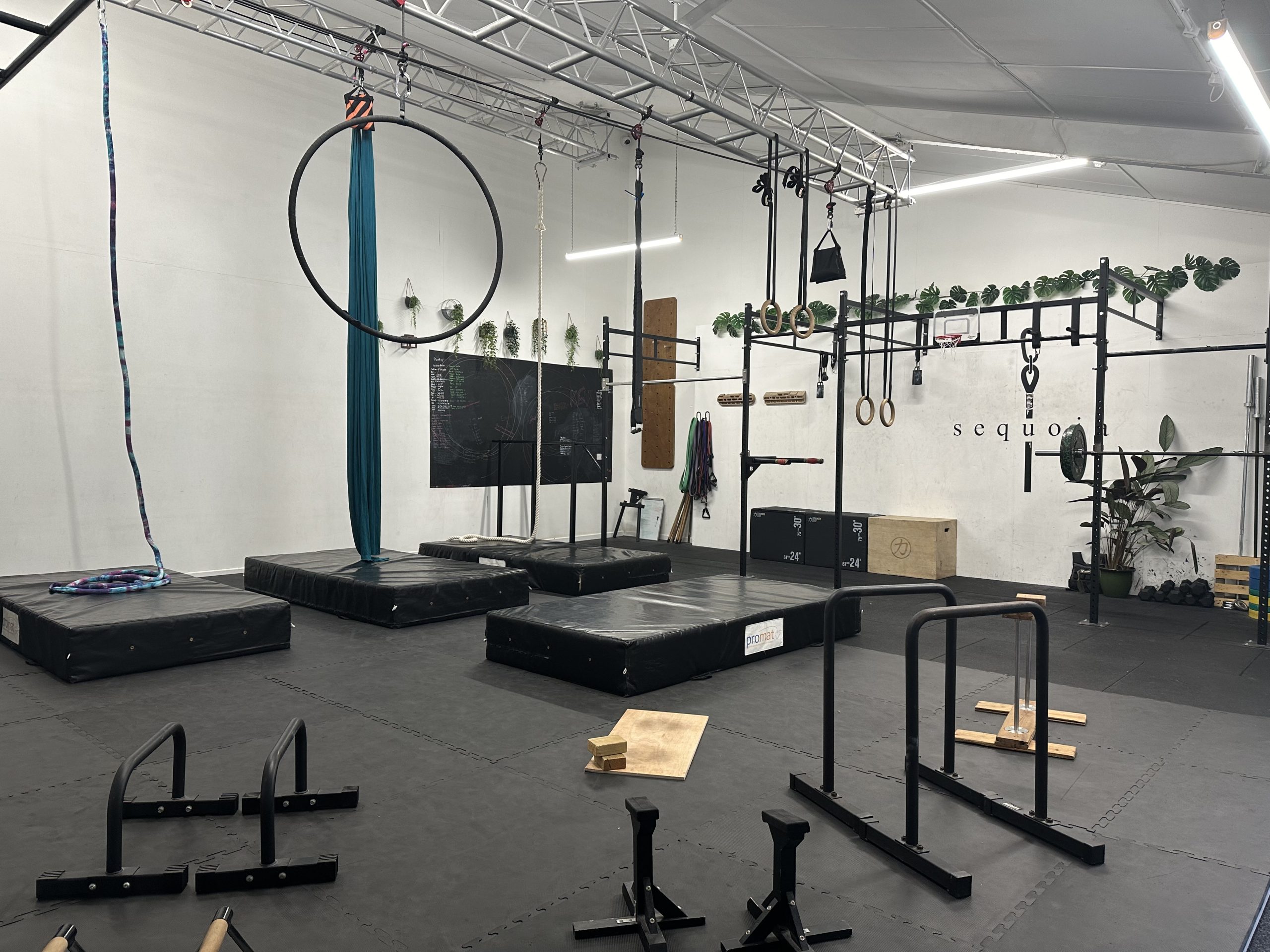 Training Space – Sequoia Movement